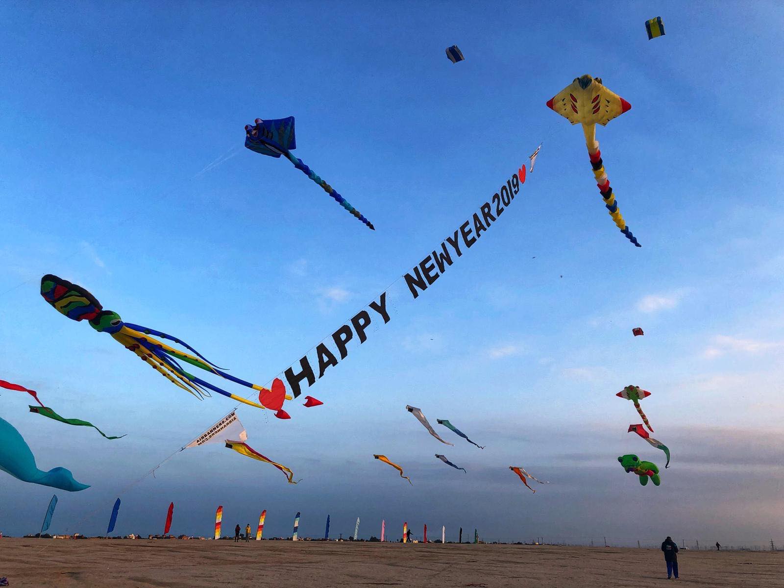 Our Kites – Kitist India – Kite Festival Organizer | International Kite ...