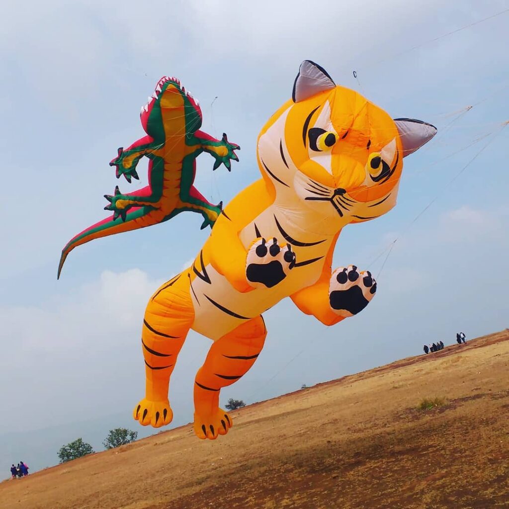 Our Kites – Kitist India – Kite Festival Organizer | International Kite ...