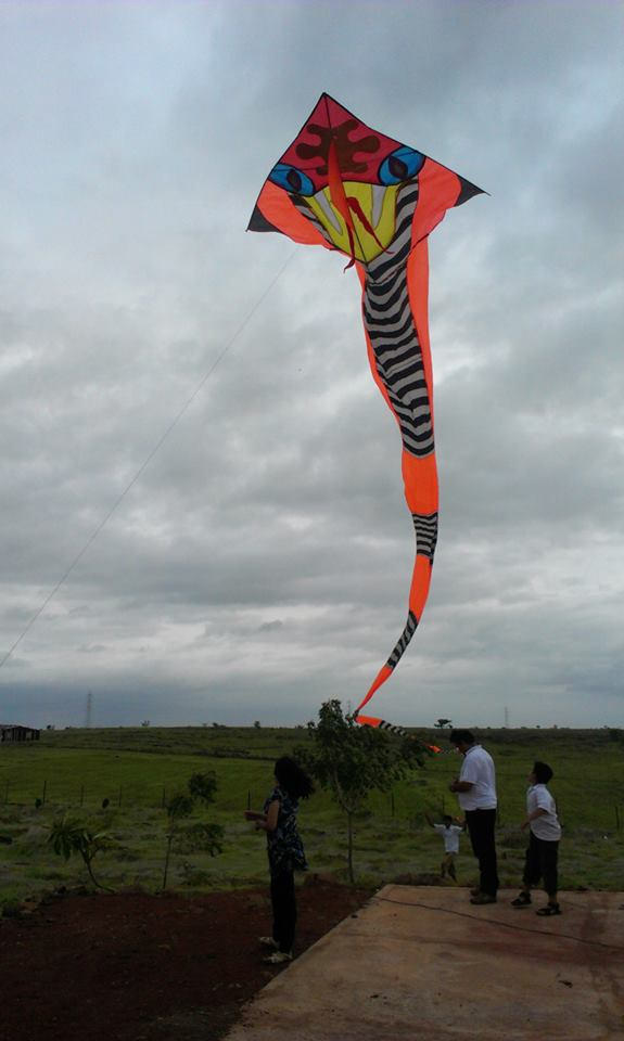 Our Kites – Kitist India – Kite Festival Organizer | International Kite ...
