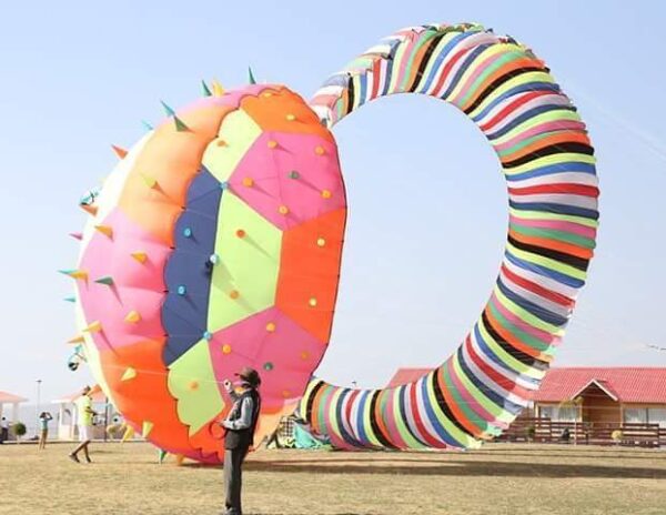 Our Kites – Kitist India – Kite Festival Organizer | International Kite ...